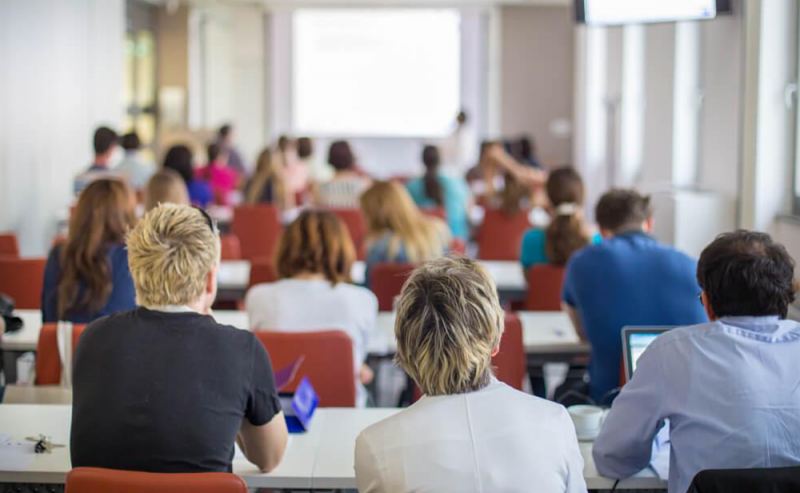 Services - The Holly Project