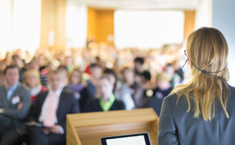 Services - The Holly Project